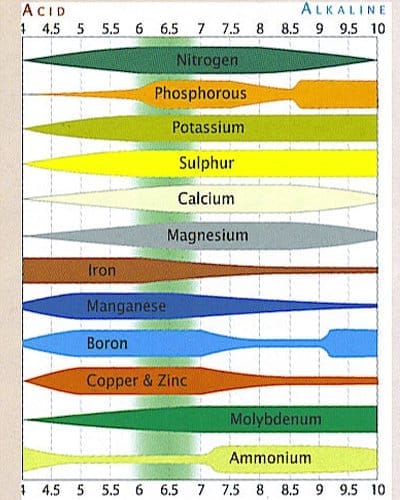Proper Marijuana pH Levels For Optimal Growth | Green CulturED ...