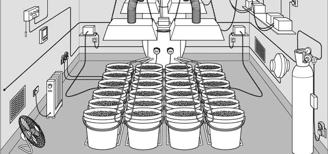 Cannabis Grow Room Plans